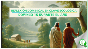 Domingo 15 Durante el Año: REFLEXIÓN DOMINICAL EN CLAVE ECOLÓGICA ...